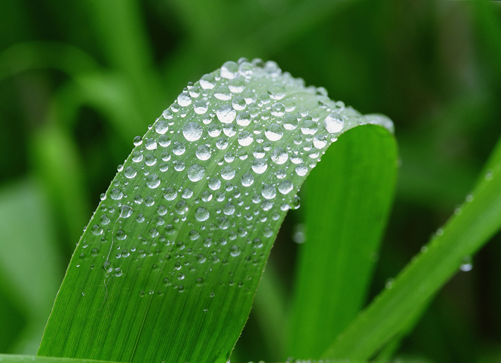 A cross-sector guide for implementing the Mitigation Hierarchy | Ipieca