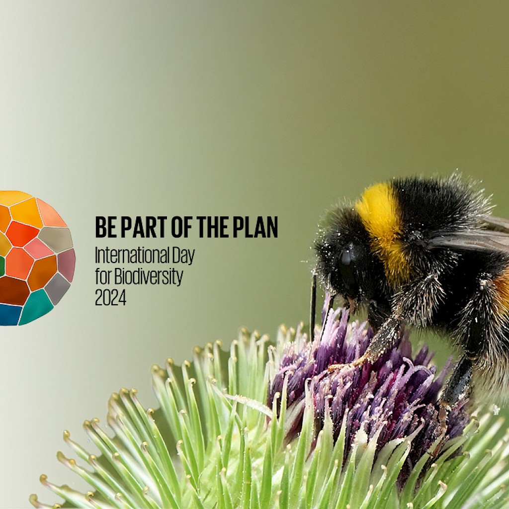 Ipieca | Advancing environmental and social performance across the ...