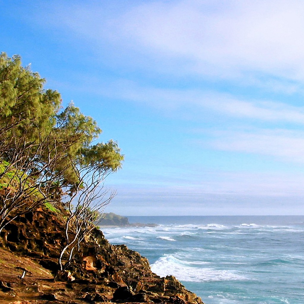 Ipieca | Advancing environmental and social performance across the ...