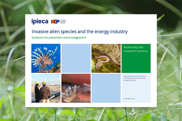 Webinar: Launch of Ipieca-IOGP 'Invasive alien species and the energy ...
