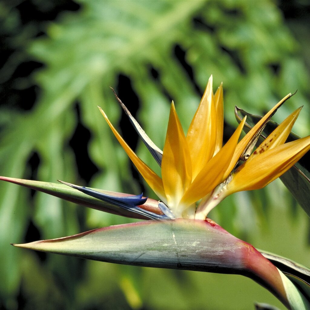 Ipieca | Advancing environmental and social performance across the ...