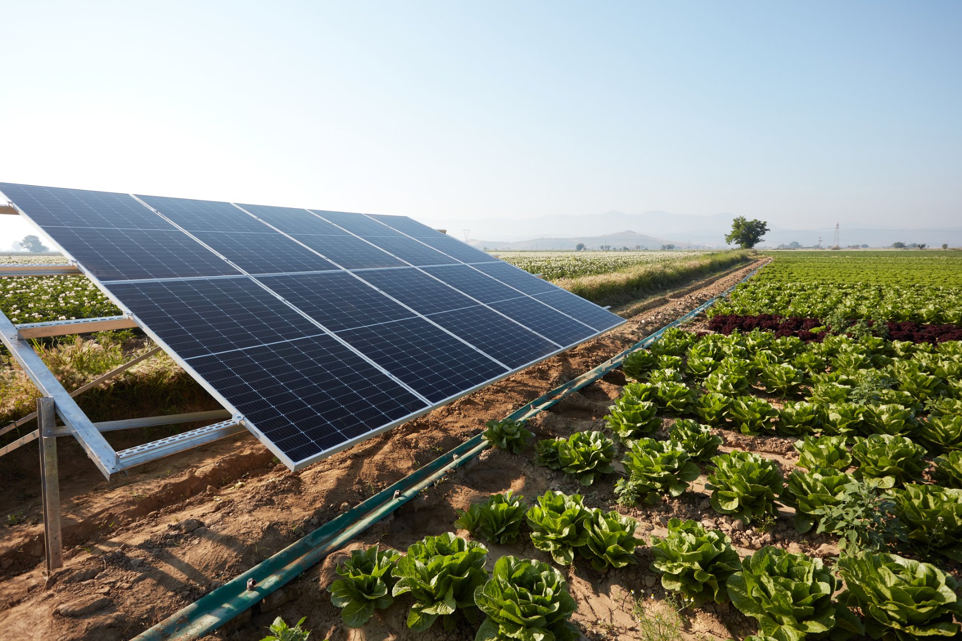 Ipieca-IUCN Co-use opportunities in wind and solar energy projects ...