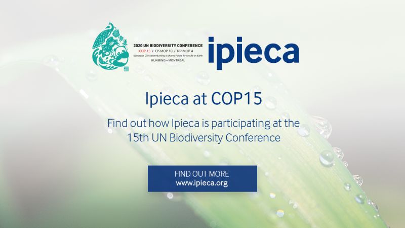 Ipieca at COP15 | Ipieca